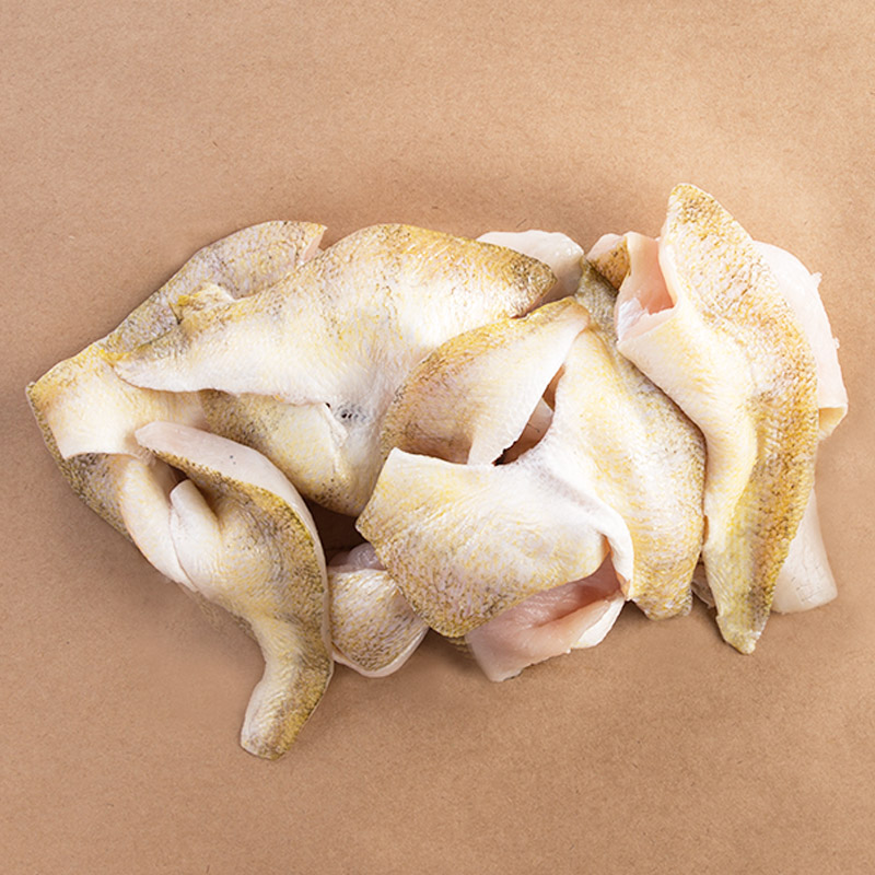 Fresh Water | Fishlads