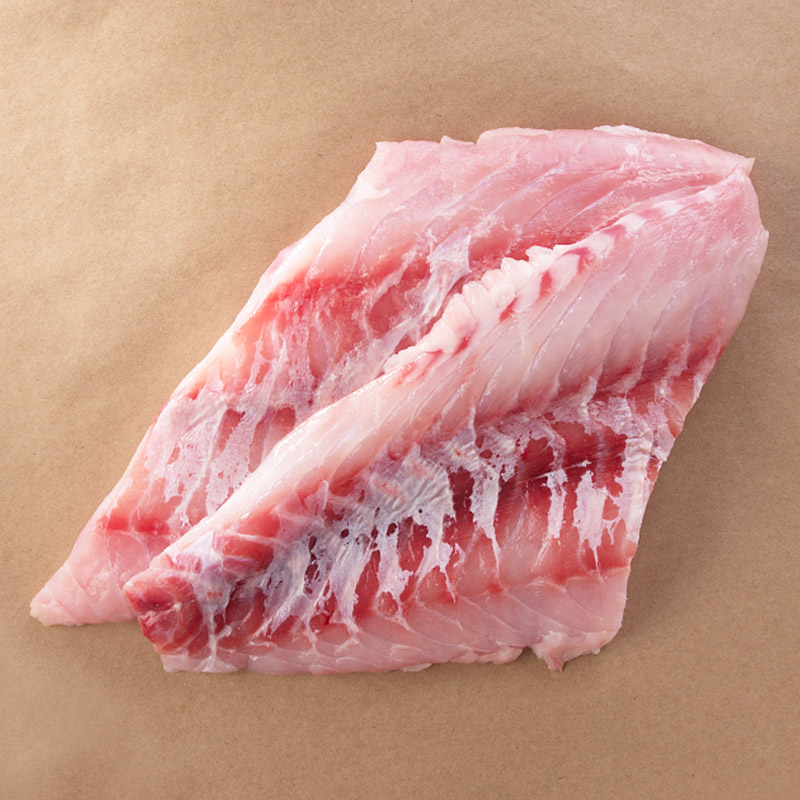 Saltwater | Fishlads